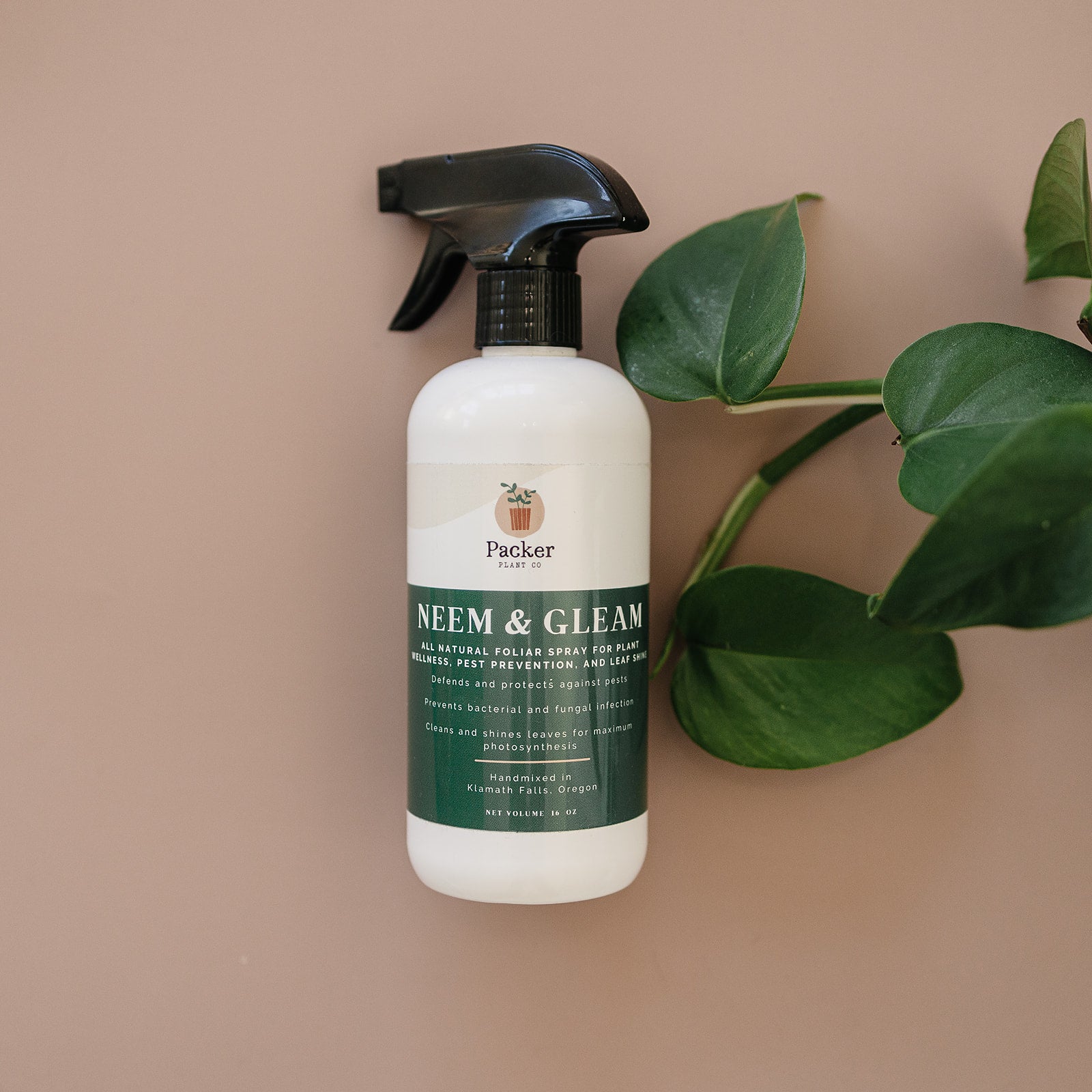 Neem & Gleam Plant Spray – Packer Plant Co