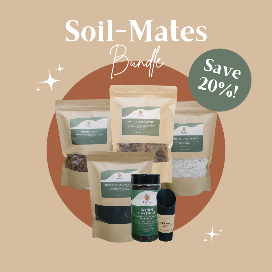 Premium Plant Care | Wholesale Available – Packer Plant Co